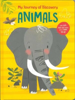 My Journey Of Discovery: Animals - Bkmkitap