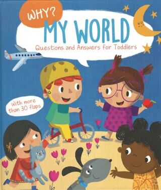 Why? Questions and Answers for Toddlers: My World - Bkmkitap